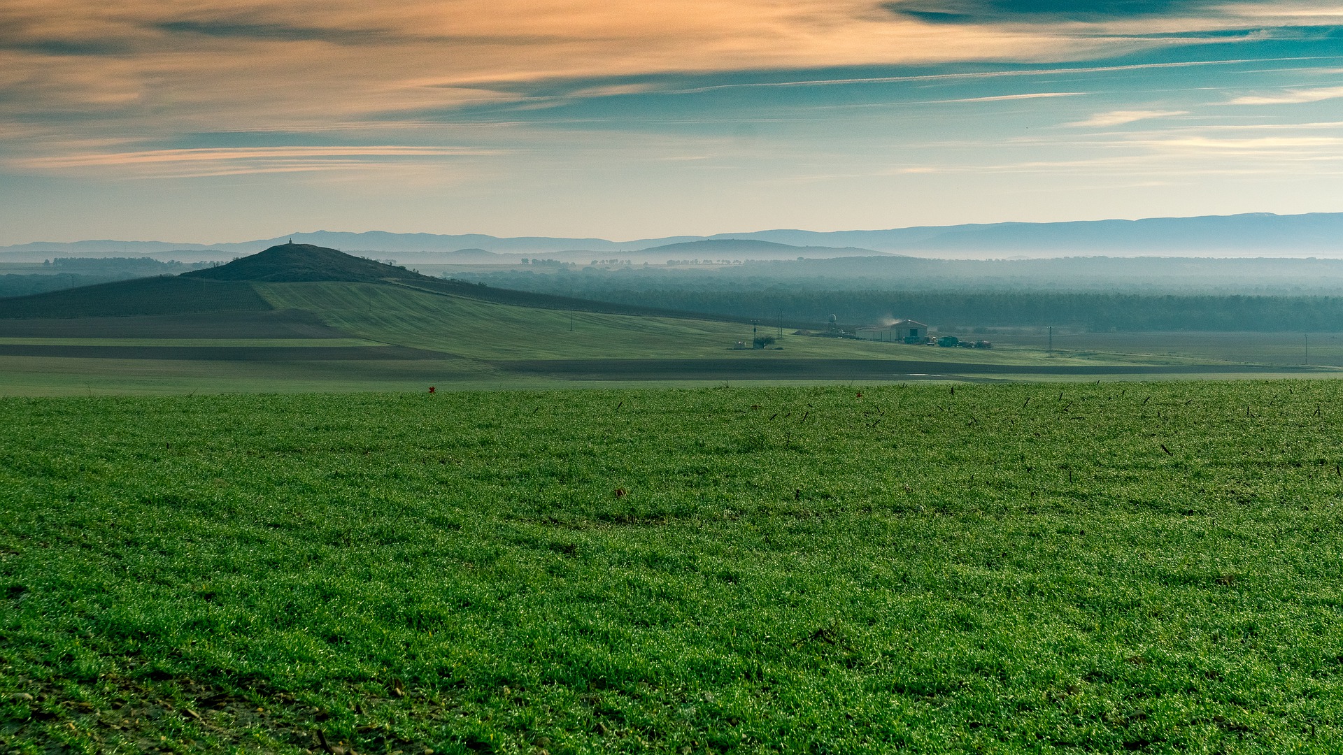 Gastronomía de León: Botillo del Bierzo, tradición y sabor